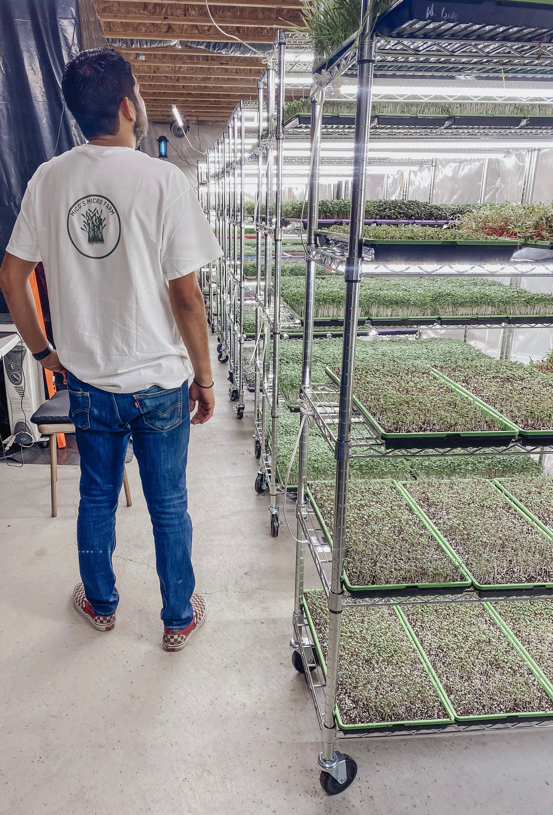 Mico's Micro Farm
