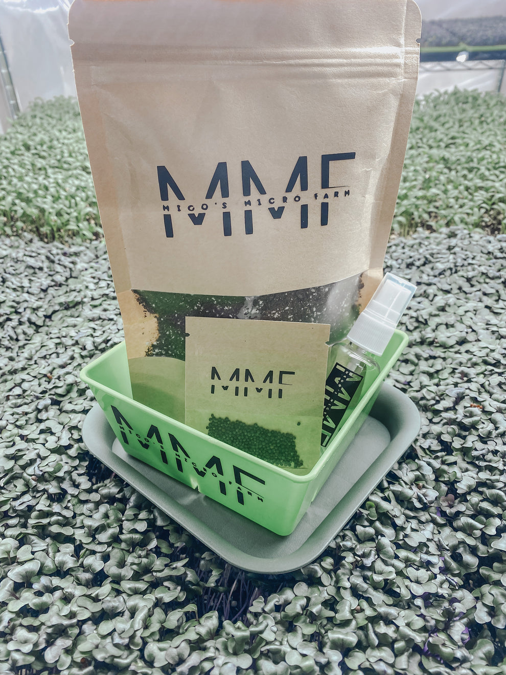 Microgreens Starter Kit – Mico's Micro Farm